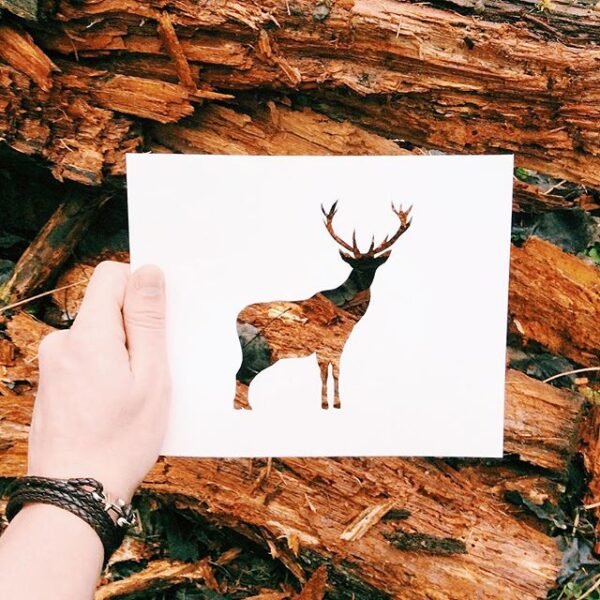 Os criativos recortes de papel de Nikolai Tolstyh • Designerd