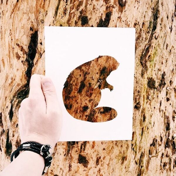 Os criativos recortes de papel de Nikolai Tolstyh • Designerd