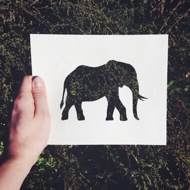 Os criativos recortes de papel de Nikolai Tolstyh • Designerd