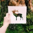 Os criativos recortes de papel de Nikolai Tolstyh • Designerd