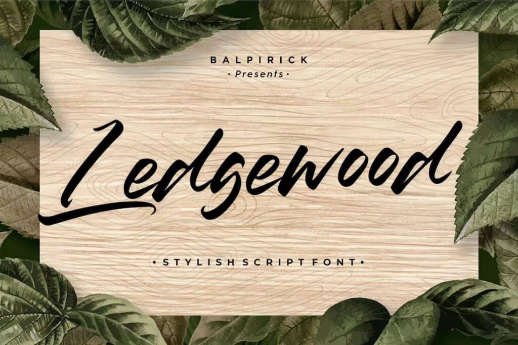 Fontes de Lettering: 30 Opções Gratuitas e Premium para Download ...